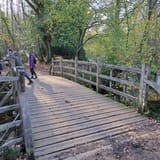 Ashdown Forest Extended Walk, East Sussex, England - 243 Reviews, Map ...