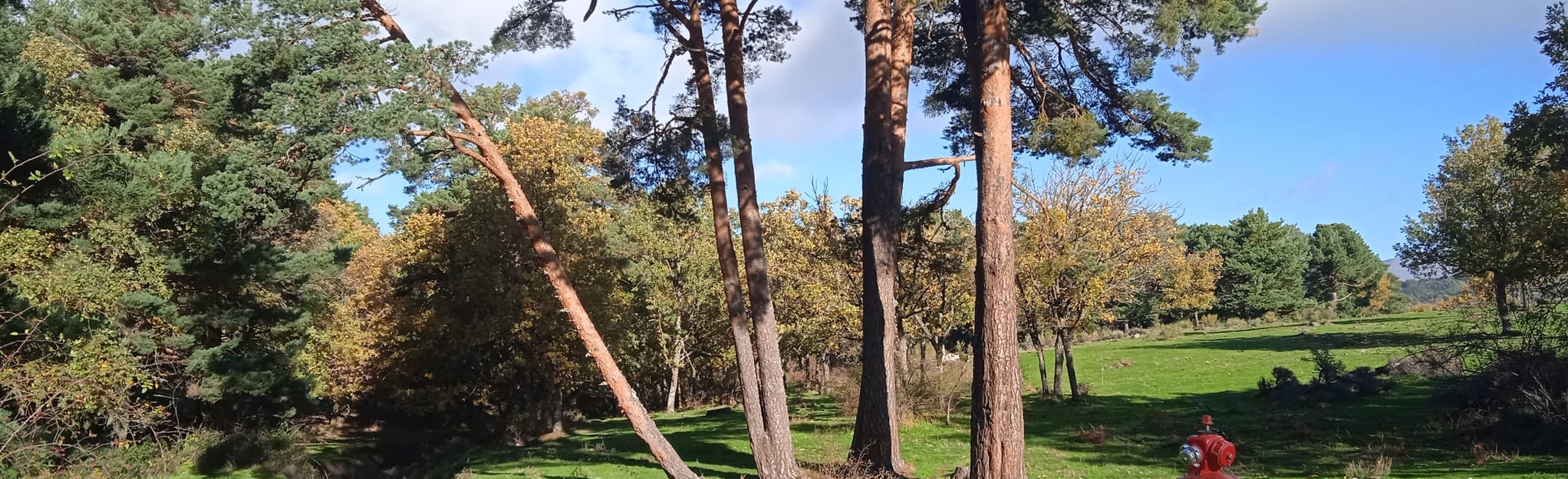 Ruta Circular El Espinar: 3 Reviews, Map - Segovia, Spain | AllTrails