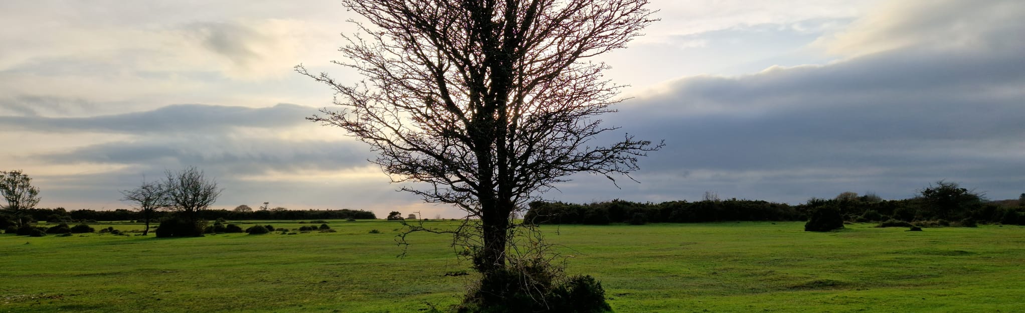 Drake's Trail, Devon, England - 48 Reviews, Map | AllTrails