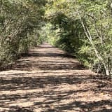 Sheldon Lake State Park Nature Loop, Texas - 245 Reviews, Map | AllTrails