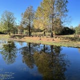 Sheldon Lake State Park Nature Loop, Texas - 240 Reviews, Map | AllTrails