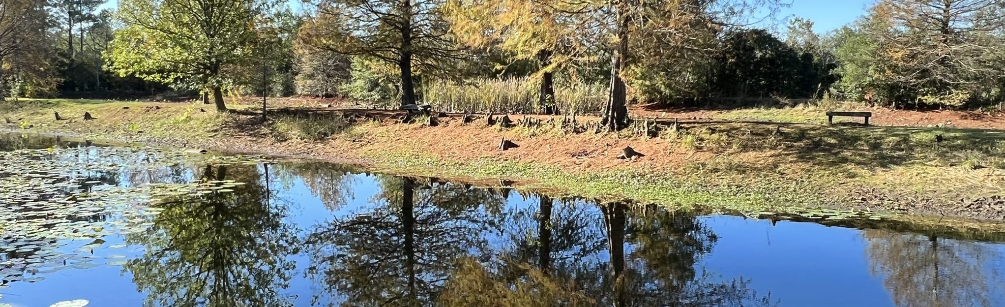 Sheldon Lake State Park Nature Loop: 459 foto's - Texas | Wandelen ...