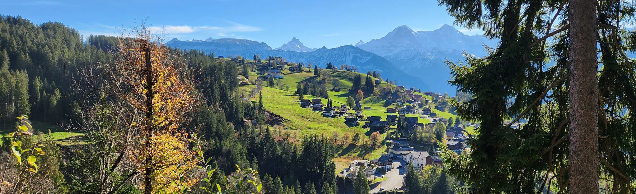 Waldegg - Beatenberg, Bern, Switzerland - 17 Reviews, Map | AllTrails