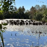 Sheldon Lake State Park Nature Loop, Texas - 245 Reviews, Map | AllTrails