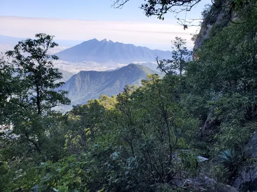 2023 Best 10 Hard Trails in Parque Ecológico Chipinque | AllTrails