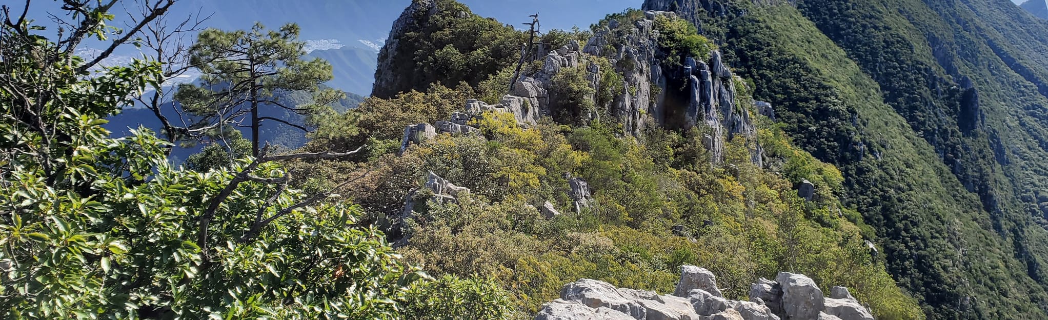 Las Antenas Chipinque: 28 fotos - Nuevo León, México | AllTrails