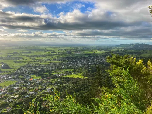 10 Best Trails and Hikes in Te Aroha | AllTrails