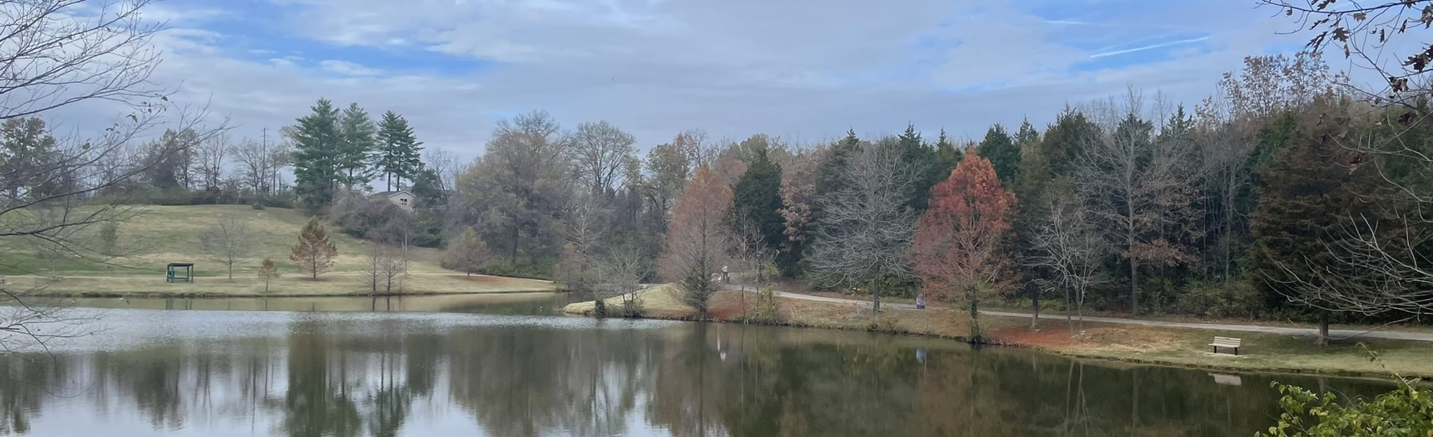 Bee Tree Lake Loop: 496 Reviews, Map - Missouri | AllTrails