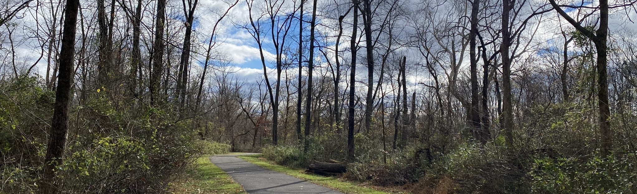 202 Parkway Trail: 36 Reviews, Map - Pennsylvania | AllTrails