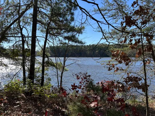 Best Hikes and Trails in Salem State Forest | AllTrails