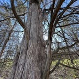 Farmdale Recreation Area Trail, Illinois - 804 Reviews, Map | AllTrails