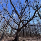 Farmdale Recreation Area Trail, Illinois - 823 Reviews, Map | AllTrails