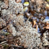 Farmdale Recreation Area Trail, Illinois - 823 Reviews, Map | AllTrails