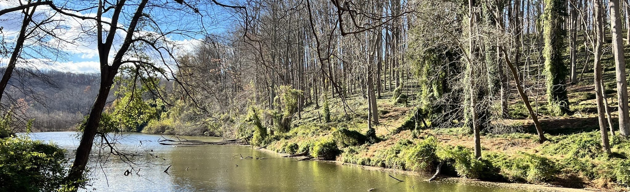 Loch Raven Reservoir Fire Road (North East Side): 47 Reviews, Map ...