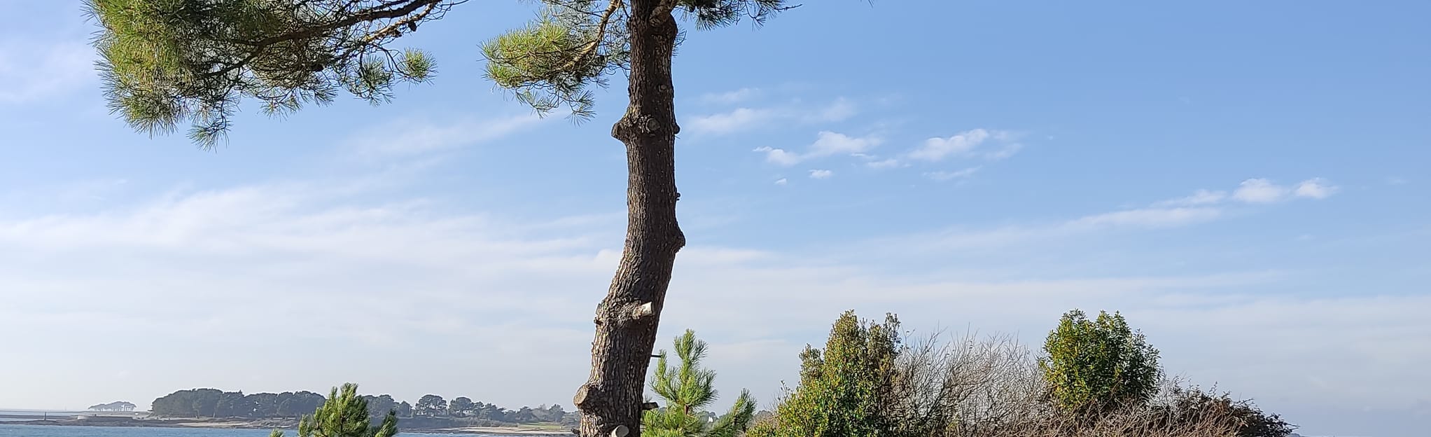 Crac'h - Locmariaquer: 8 Reviews, Map - Morbihan, France | AllTrails