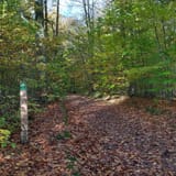Chopwell Woods and River Derwent Circular, Tyne and Wear, England - 270 ...