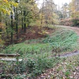 Chopwell Woods and River Derwent Circular, Tyne and Wear, England - 313 ...