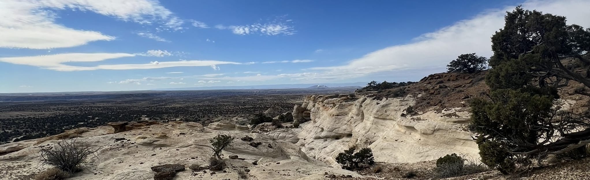 Pinon Mesa Trail, New Mexico - 25 Reviews, Map | AllTrails