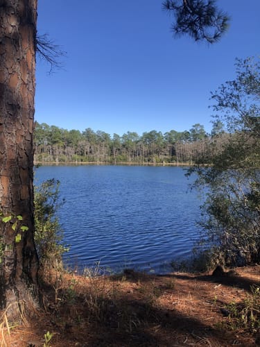 Best Hikes and Trails in Silver Lake Recreation Area | AllTrails
