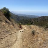 San Ysidro Trail, California - 375 Reviews, Map | AllTrails