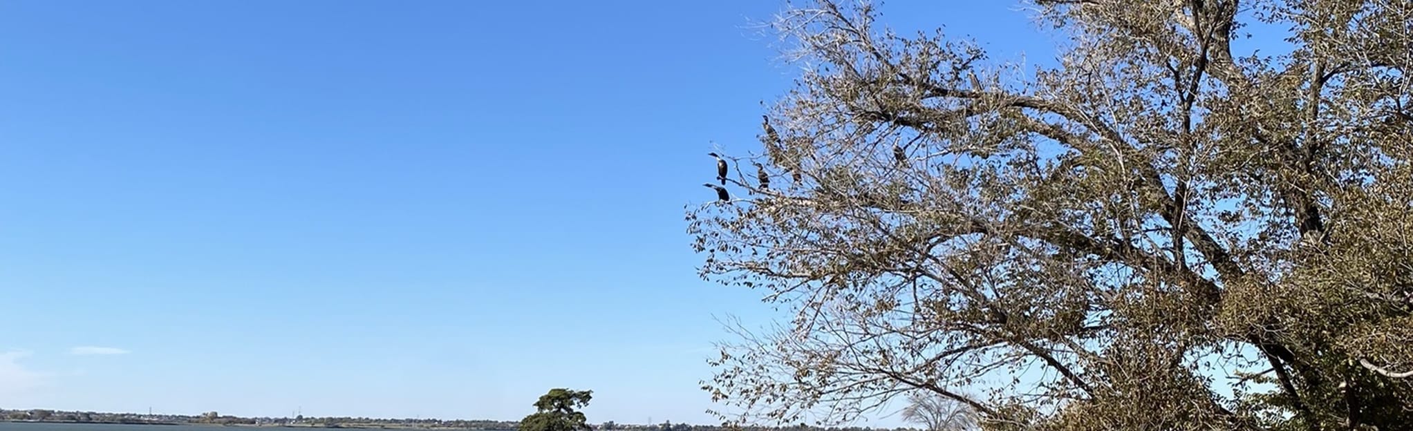 Lake Overholser: 176 Reviews, Map - Oklahoma | AllTrails