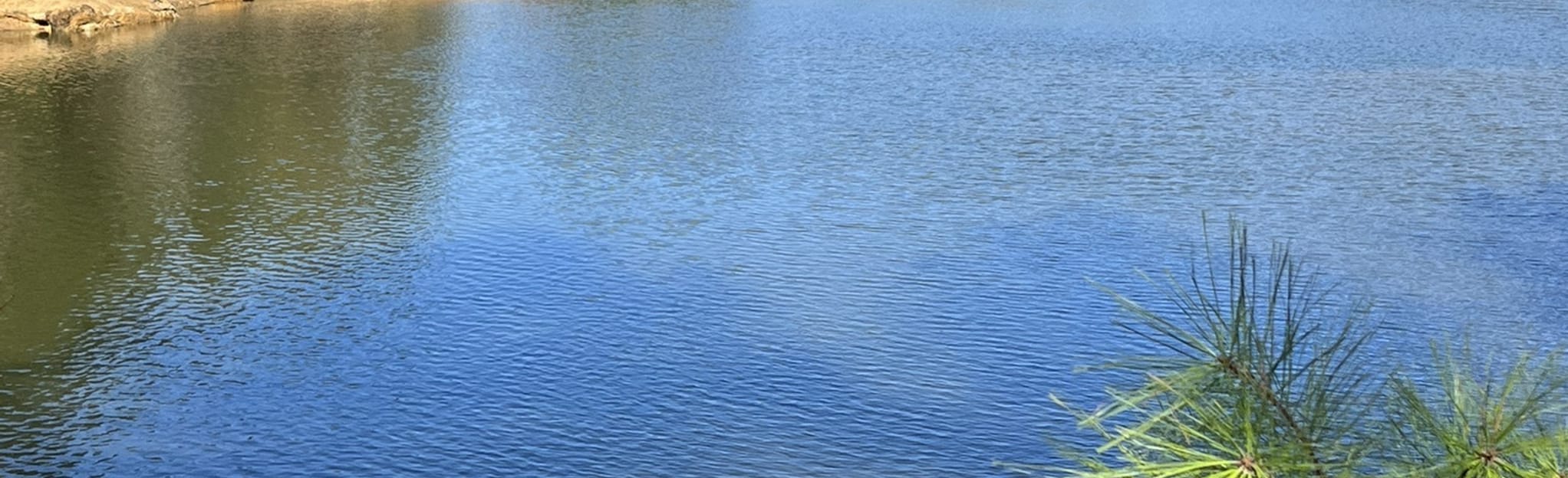 Boundary Waters Red Hawk Loop: 24 Reviews, Map - Georgia | AllTrails