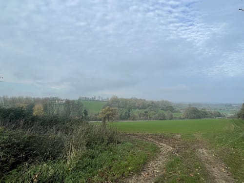2023 Best 10 Views Trails in Saffron Walden | AllTrails