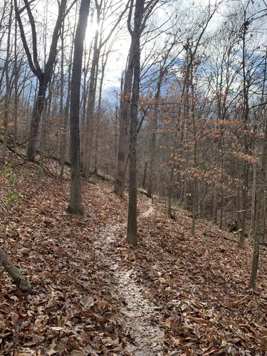 10 Best Hikes and Trails in Barboursville City Park | AllTrails