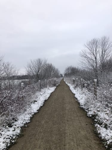 2023 Best trails in Millbank | AllTrails