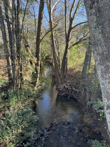 Best Hikes and Trails in Gresham Park | AllTrails