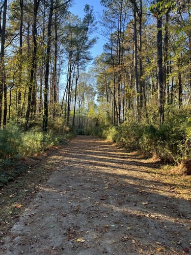 Best Hikes and Trails in Gresham Park | AllTrails