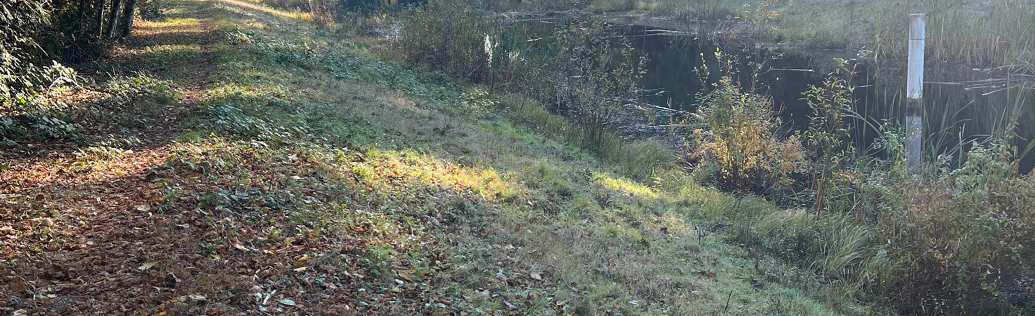 Redmond Ridge, East Branch, and Nuthatch Loop: 23 Reviews, Map ...