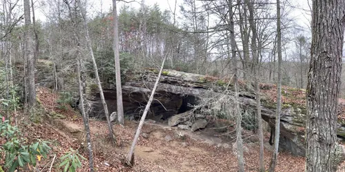 Best hikes and trails in Duff | AllTrails