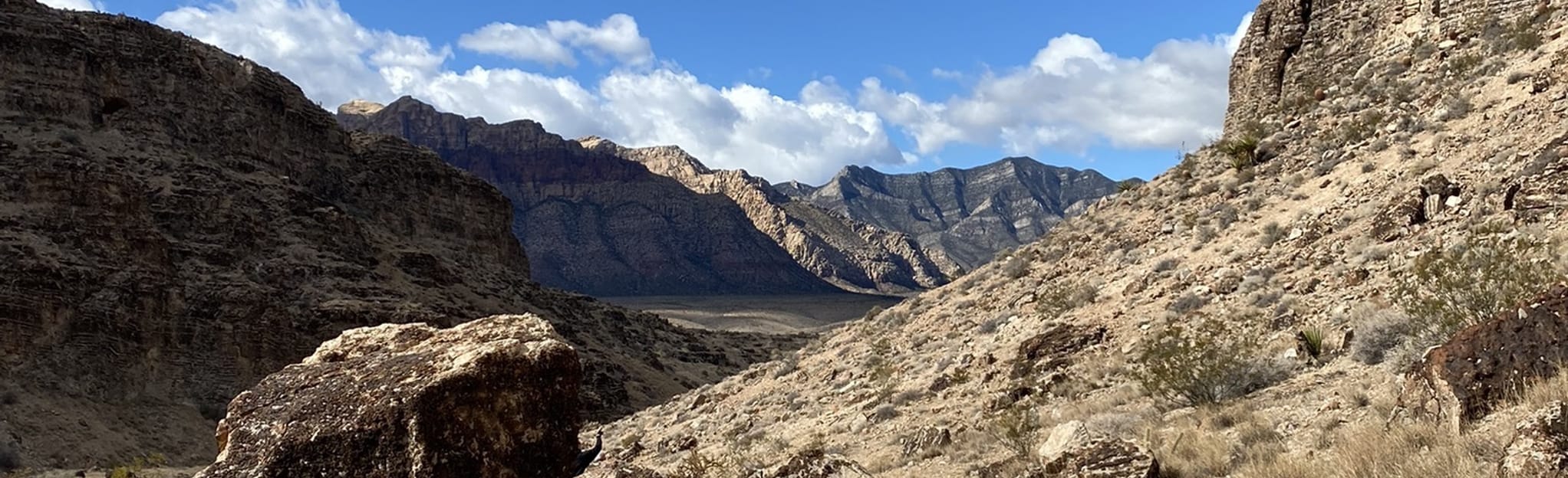 Cowboy Cave Trail, Nevada - 263 Reviews, Map | AllTrails