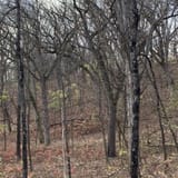 Gander Mountain Loop Trail, Illinois - 472 Reviews, Map | AllTrails