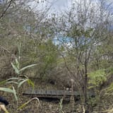 Gander Mountain Loop Trail, Illinois - 472 Reviews, Map | AllTrails