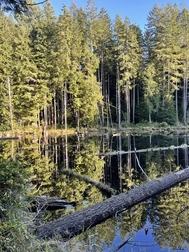 Best Hikes and Trails in Redmond Watershed Preserve | AllTrails