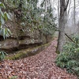 Hazard Cave and Natural Bridge Trail, Tennessee - 320 Reviews, Map ...