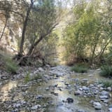 Piru Creek to Lake Piru, California - 19 Reviews, Map | AllTrails