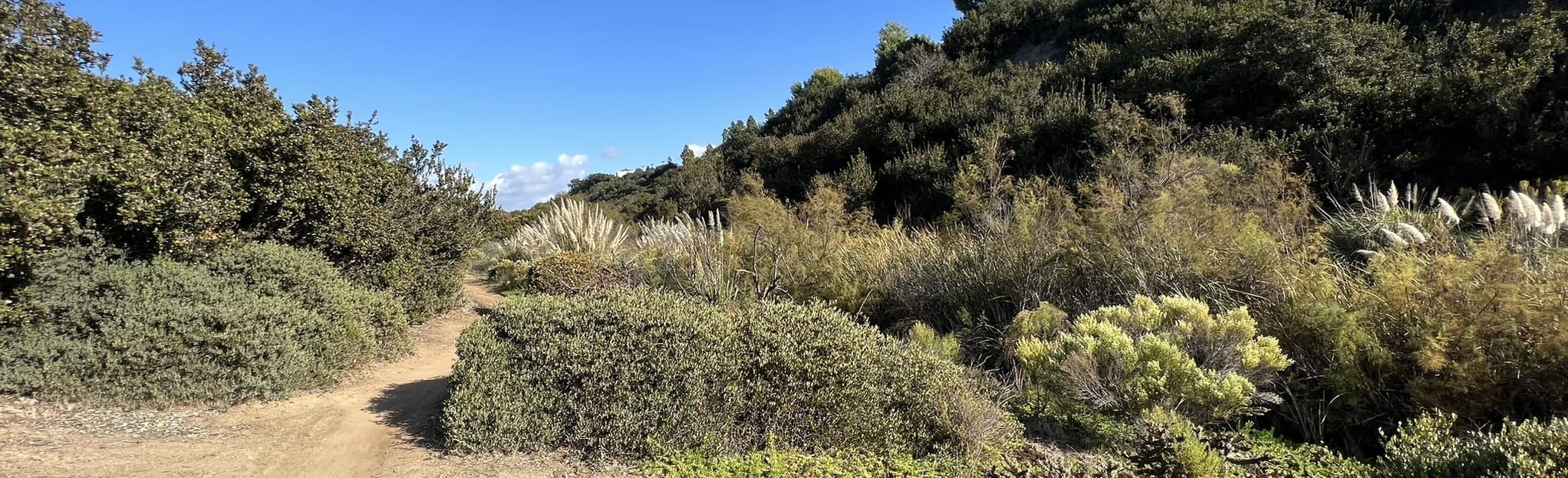 Snake Trail: 362 Reviews, Map - California | AllTrails