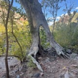 Parsons Trail, Arizona - 635 Reviews, Map | AllTrails