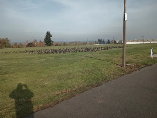 Best Hikes and Trails in Cully Park | AllTrails