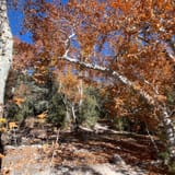 Turkey Creek Hot Springs, New Mexico - 65 Reviews, Map | AllTrails