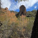 Turkey Creek Hot Springs, New Mexico - 65 Reviews, Map | AllTrails