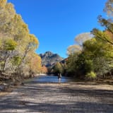 Turkey Creek Hot Springs, New Mexico - 65 Reviews, Map | AllTrails