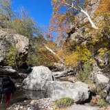 Turkey Creek Hot Springs, New Mexico - 65 Reviews, Map | AllTrails