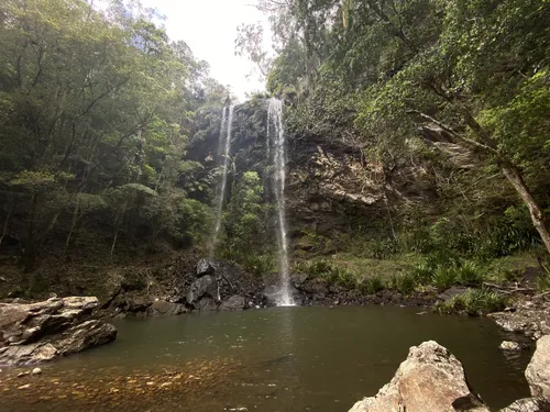 Best Partially Paved Trails in Springbrook National Park | AllTrails