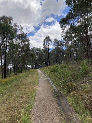 Best 10 Hikes and Trails in Chiltern-Mount Pilot National Park | AllTrails