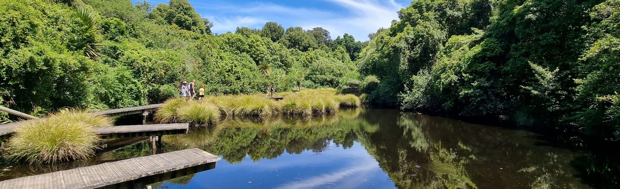 Bushy Park Walk, Manawatū-Whanganui, New Zealand - 32 Reviews, Map ...