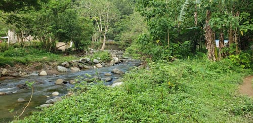 2023 Best 10 Trails and Hikes in Tanay | AllTrails